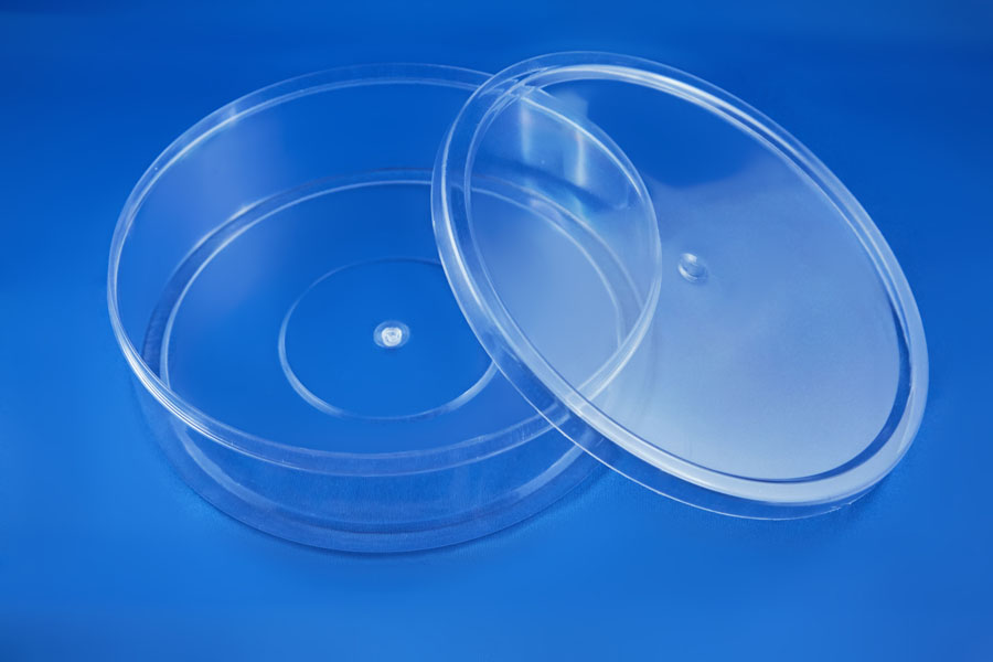 Crystal Boxes | Tasainc